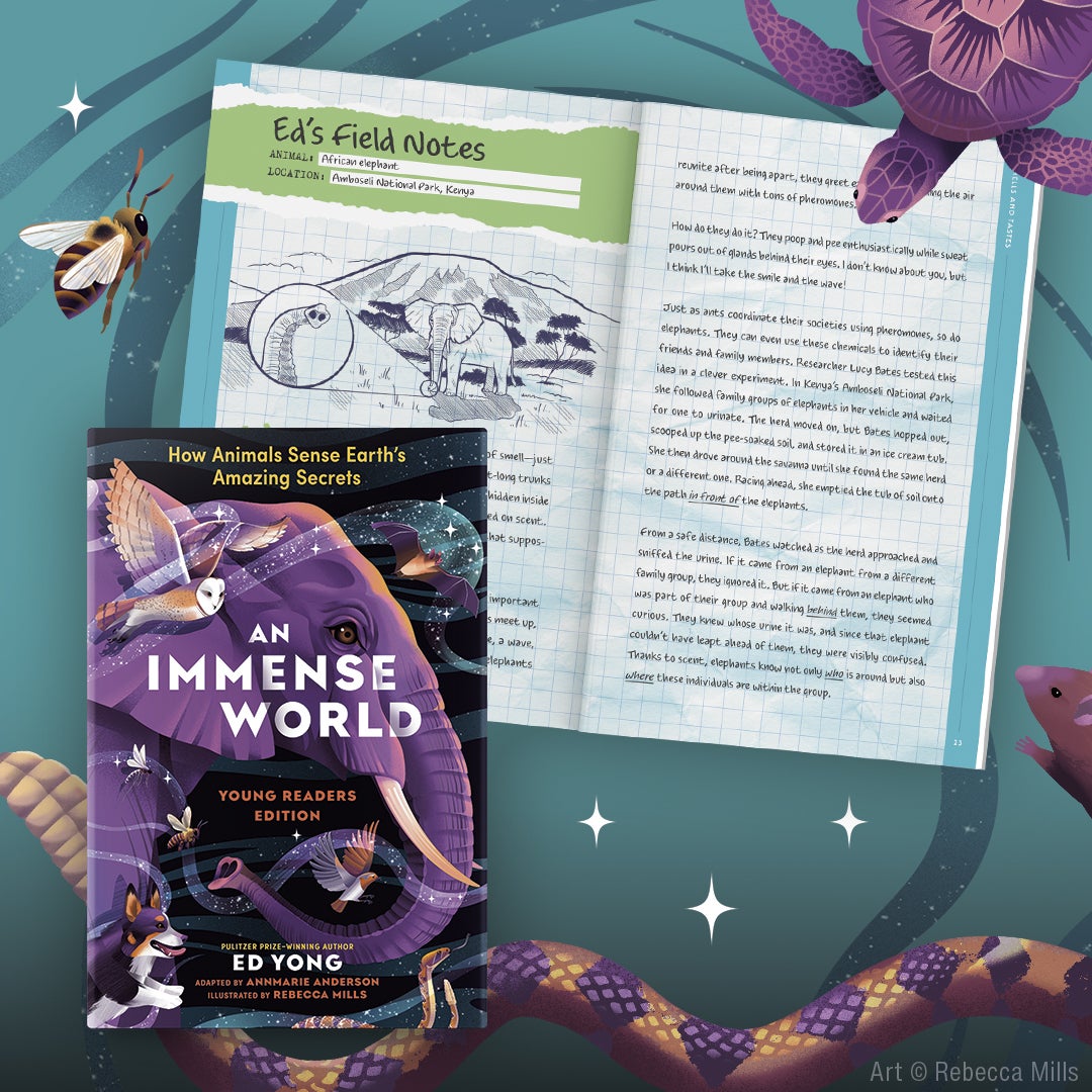 An Immense World: How Animals Sense Earth’s Amazing Secrets - Random ...