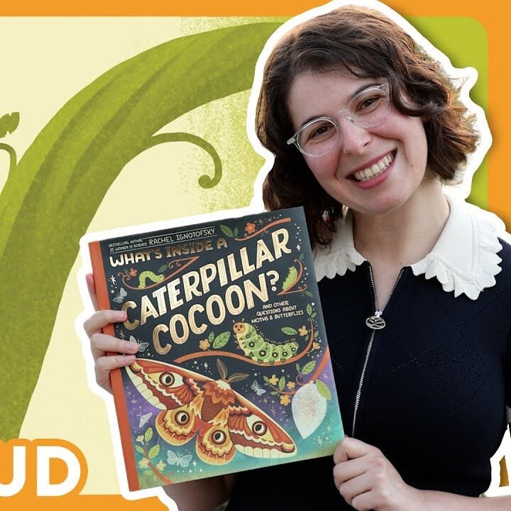 What's Inside a Caterpillar Cocoon? | Brightly Storytime - Random House ...